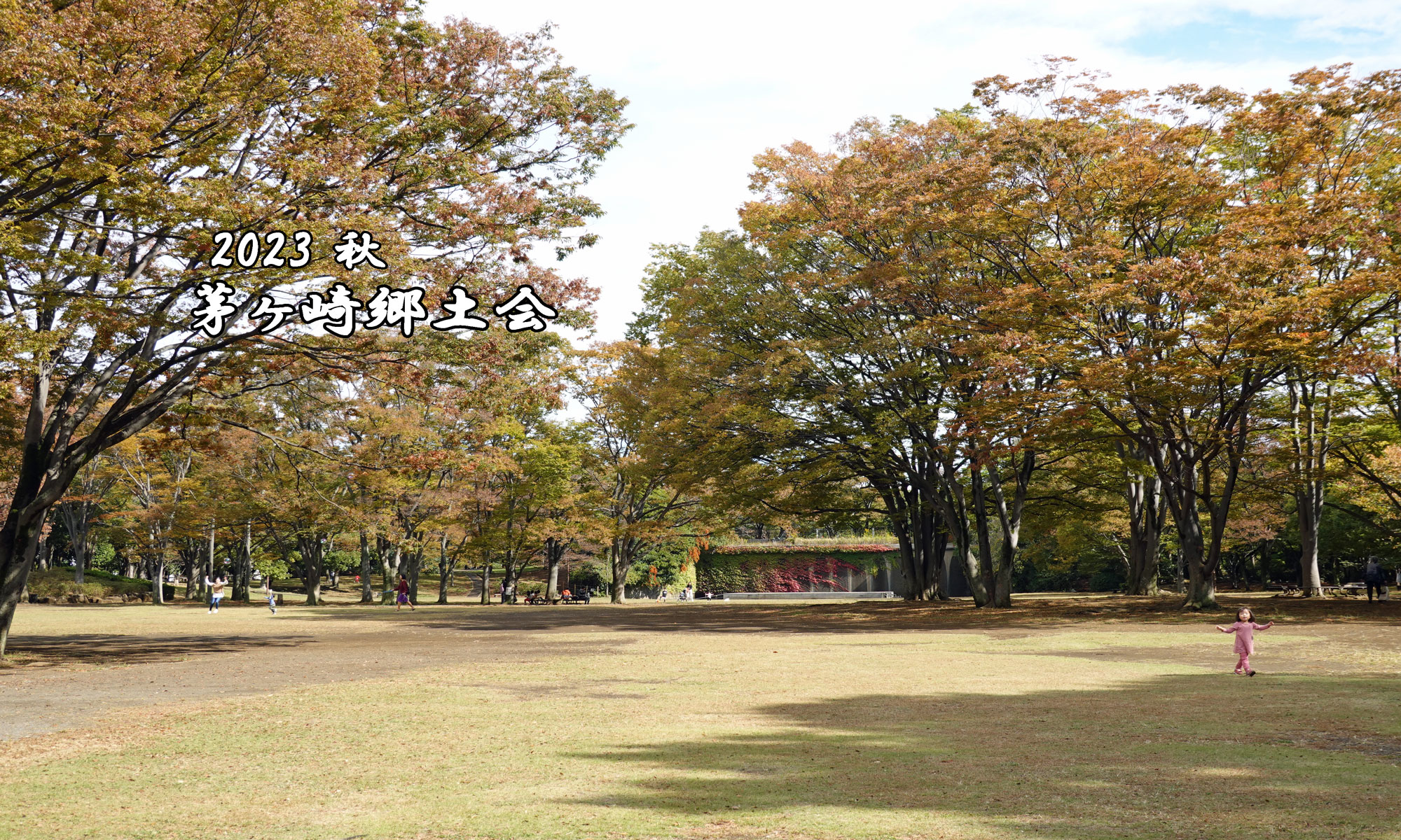 茅ヶ崎の野鳥たち 北部の丘陵編（目次） – 茅ヶ崎郷土会