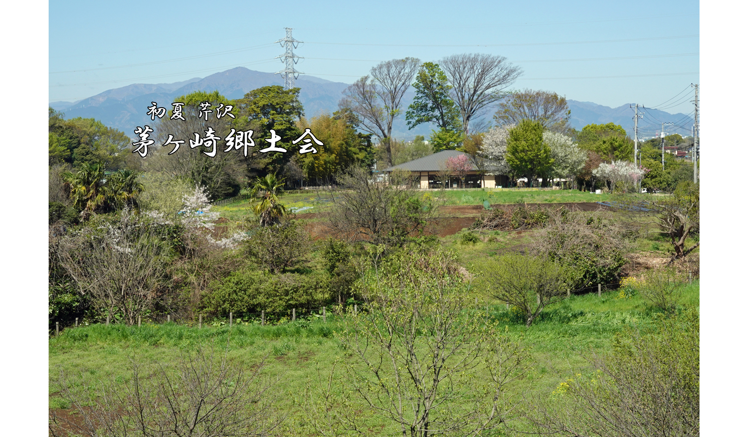 『郷土ちがさき』159号 2024(R6)年1月1日発行 – 茅ヶ崎郷土会